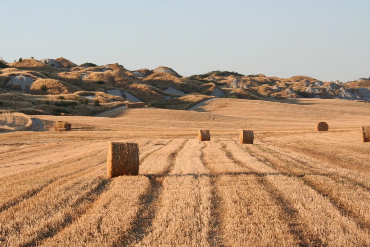 Crete senesi: cosa sono e cosa vedere | Viaggiamo