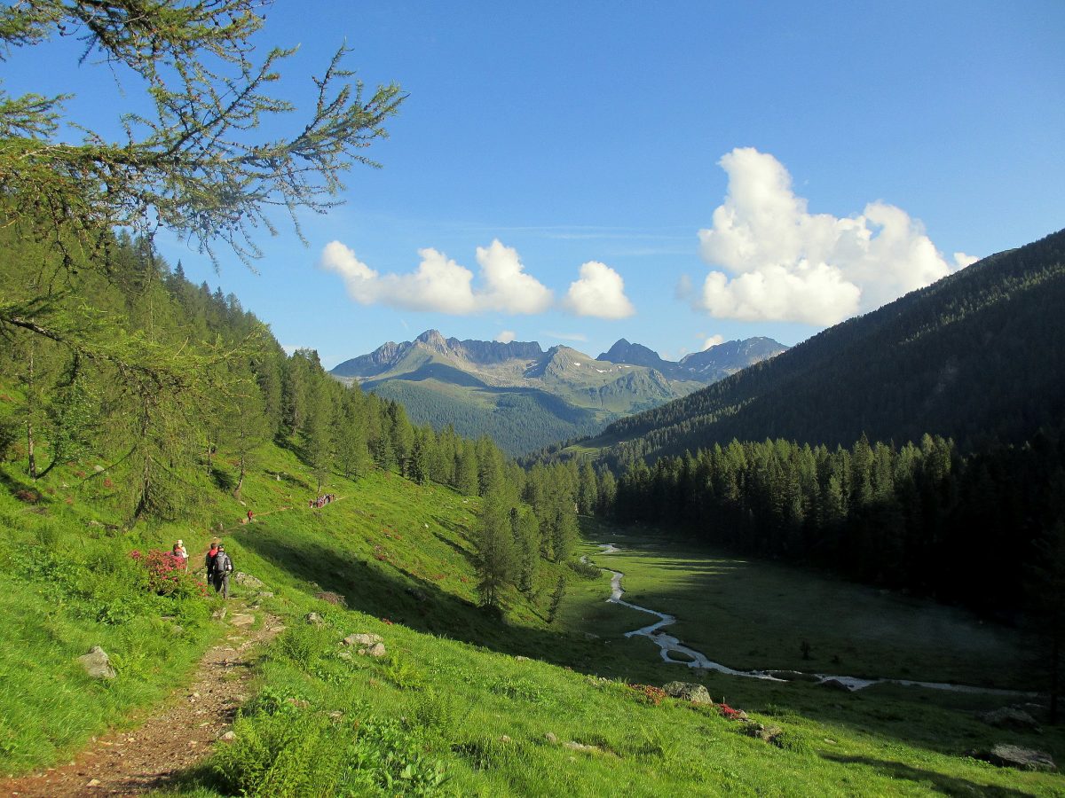 Montagne del Lagorai: caratteristiche e informazioni | Viaggiamo