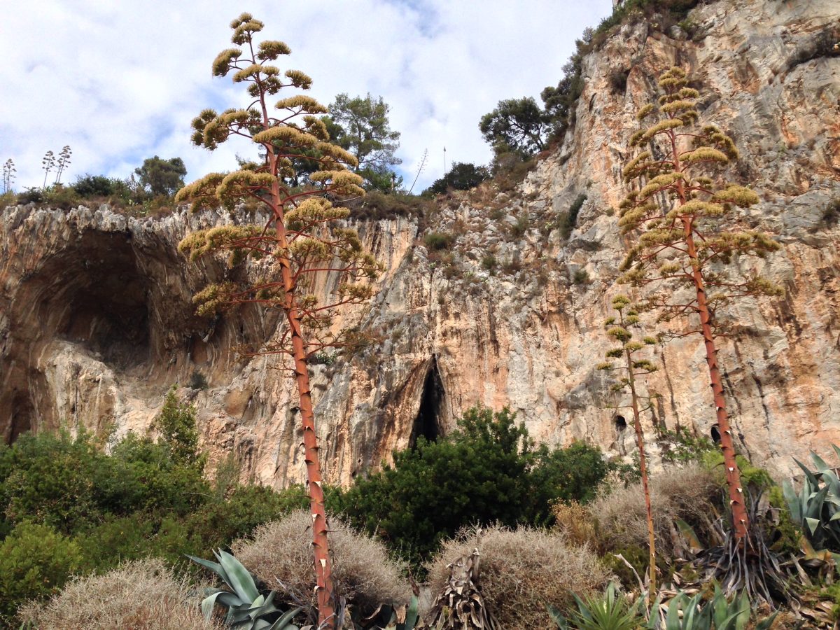 Sito archeologico dei Balzi Rossi: informazioni e cosa vedere | Viaggiamo