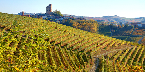 Weekend in vigna, Piemonte: idee per il fine settimana| Viaggiamo